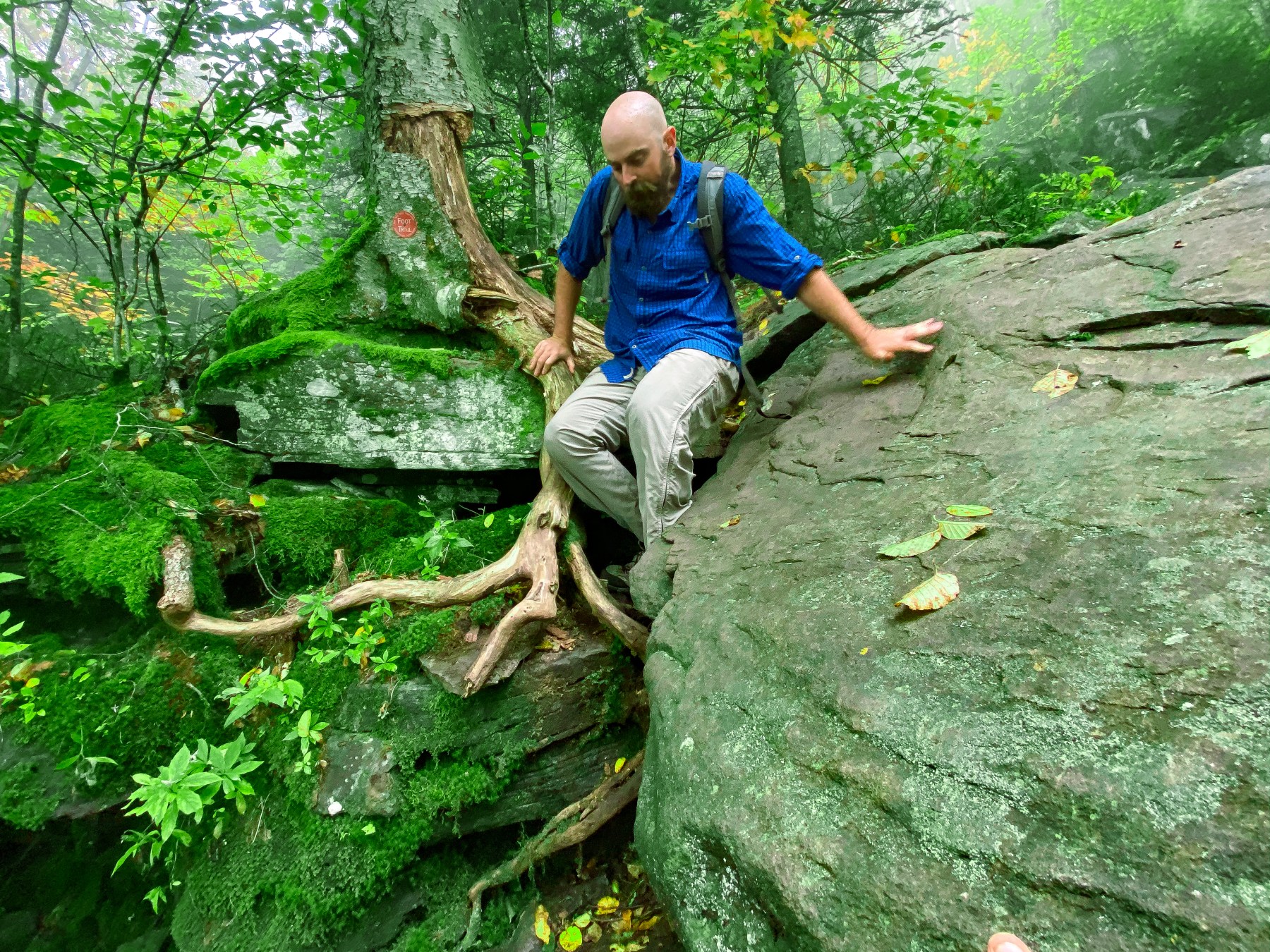 Upstate Hiking